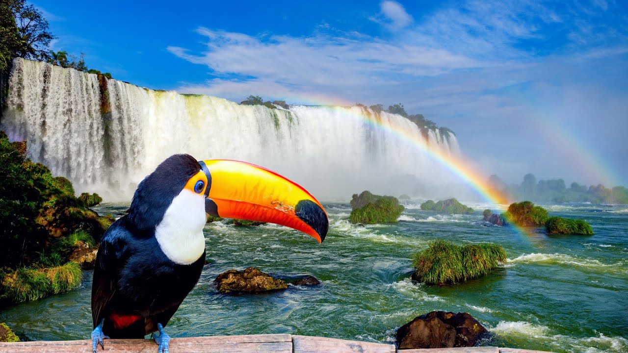 Beautiful Relaxing Chillout, Calm Music,Study, Work, Sleep, Meditation ...