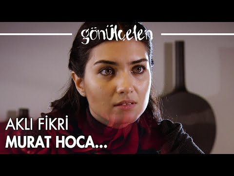 Hasret'in aklı fikri Murat'ta! - Gönülçelen 31. Bölüm