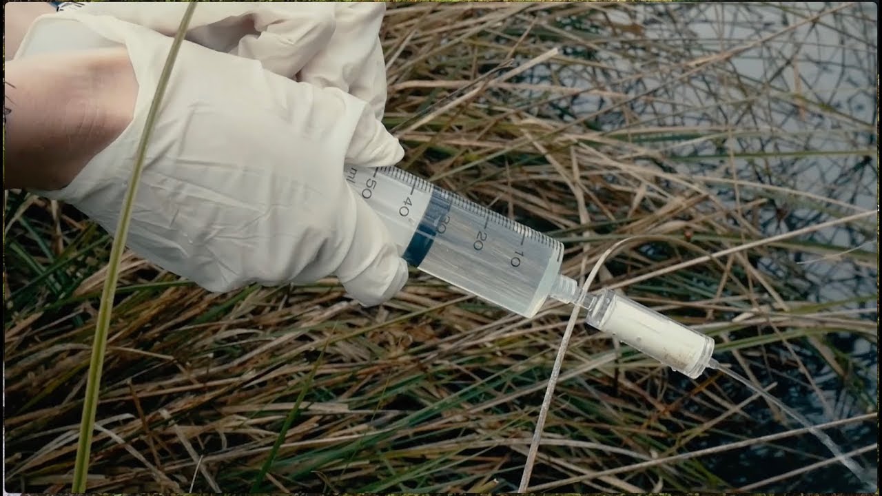 Dam! Biodiversity! Using eDNA to find out what wildlife is living in ...