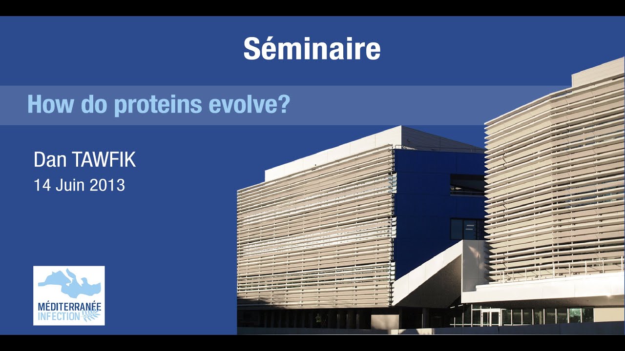 Séminaire Dan Tawfik Séminaire - 14/06/2013 - YouTube