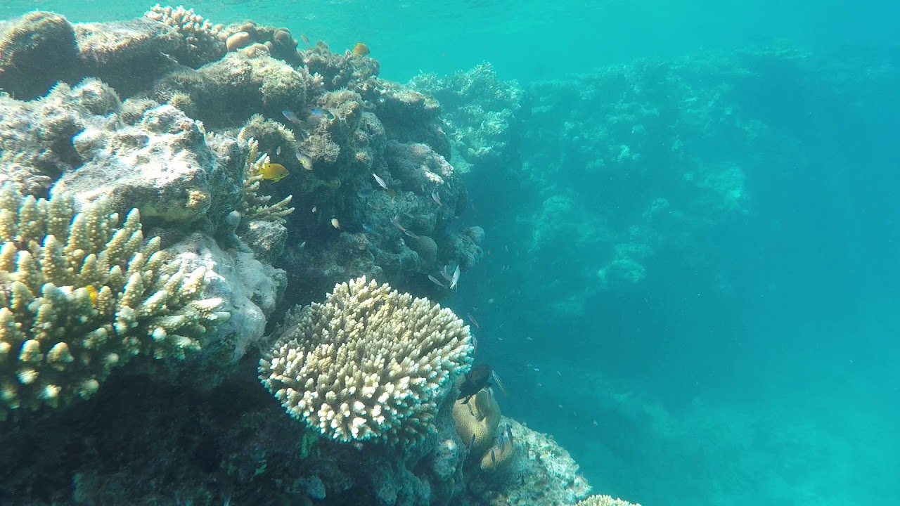 Hamata Island - YouTube