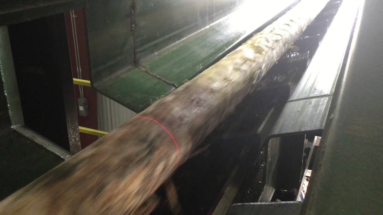 Scan Chain thru Scan Zone - YouTube