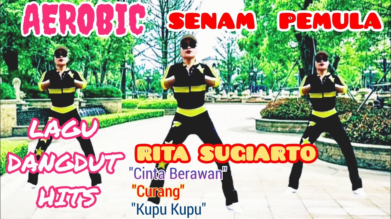 AEROBIC SENAM PEMULA - GERAKAN RINGAN MUDAH DIIKUTI - YouTube