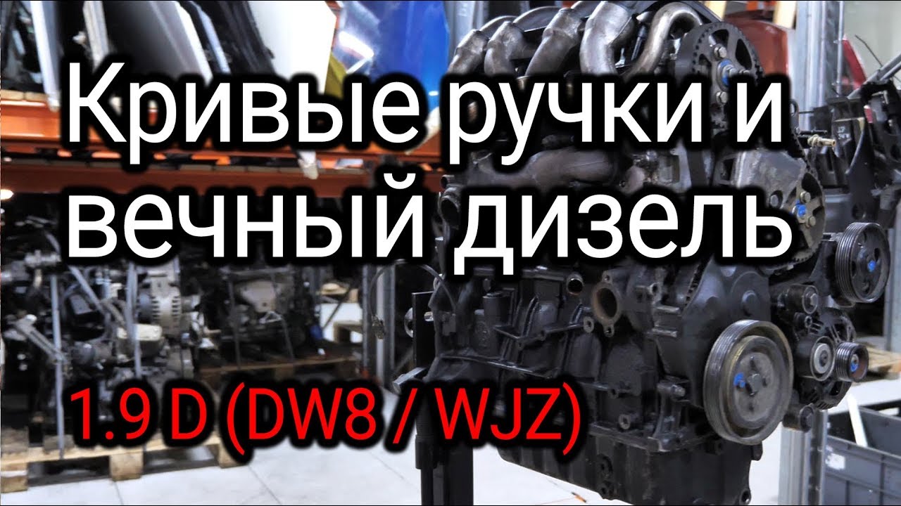 Что стучит в надежном, как "АК", дизеле 1.9D (DW8 / WJZ) от Peugeot и ...