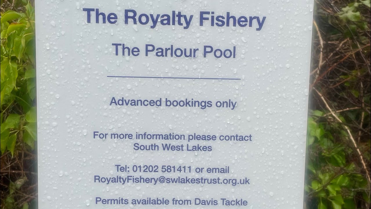 River fishing on the Hampshire Avon Royalty fishery - My Nemesis - YouTube