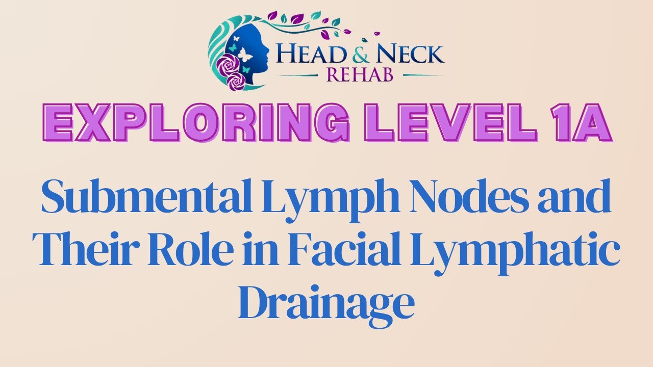 Exploring Level 1A: Submental Lymph Nodes and Their Role in Facial Lymphatic Drainage - YouTube