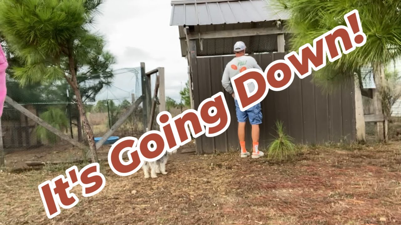 It's Going Down - YouTube