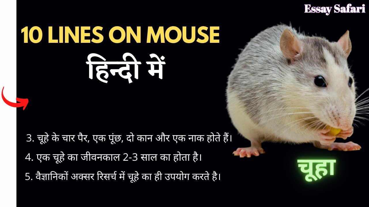10 Lines on Mouse in Hindi | चूहे के बारे में 10 वाक्य | 10 Lines on ...