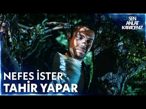 Tahir ağaca tırmanıyor - Sen Anlat Karadeniz 54. Bölüm