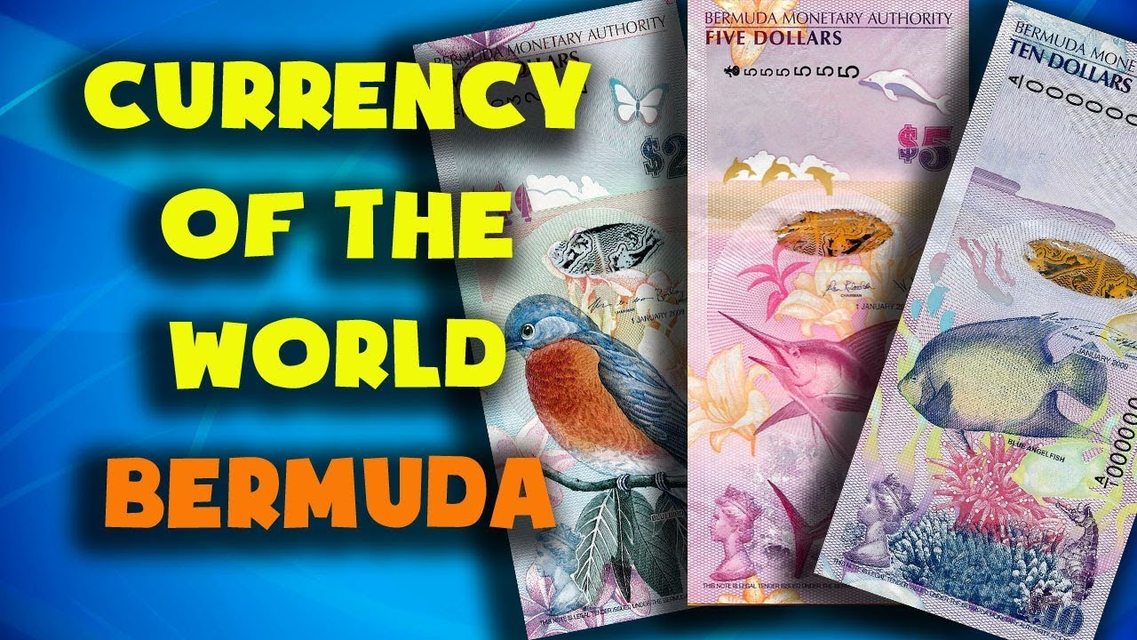 Currency of the world - Bermuda. Bermudian dollar. Exchange rates ...