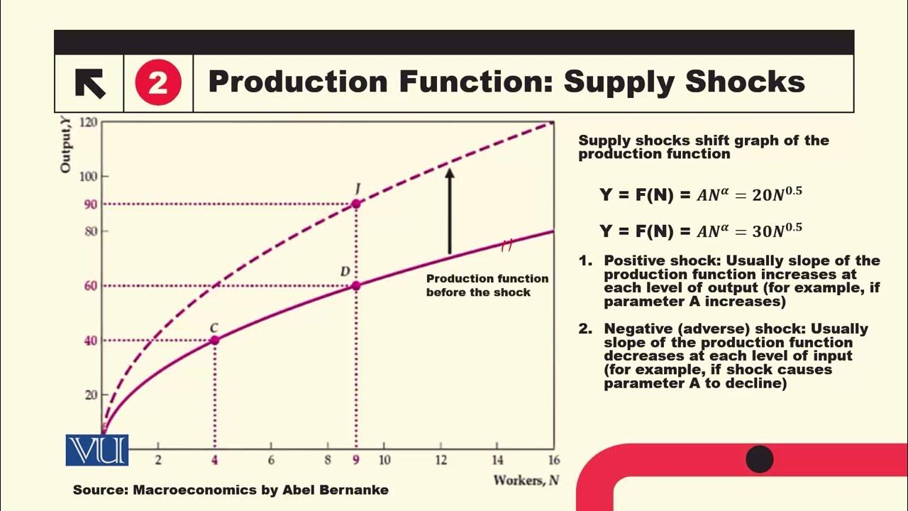 Production Function: Supply Shocks | Macroeconomic Analysis | ECO616_Topic019 - YouTube