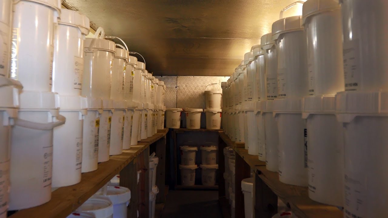 Tour Stop 2: The Seed Freezer - YouTube