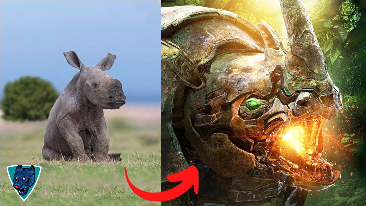 Badass Beasts - Animal Transformation to Beast - YouTube