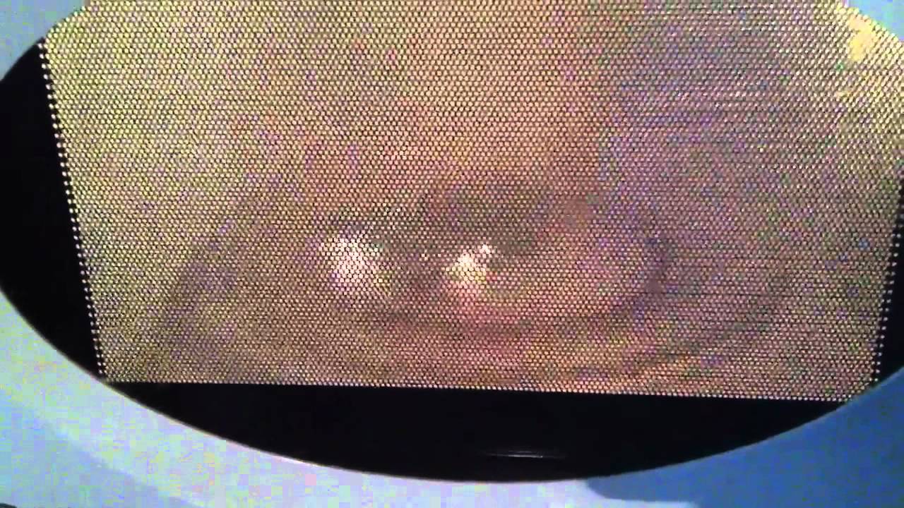 Awesome cd microwave experiment - YouTube