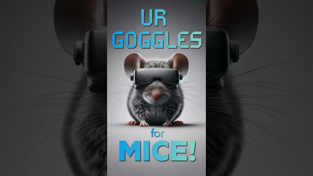 VR goggles for MICE! #mice #vr #neuroscience #science #knowledge # ...