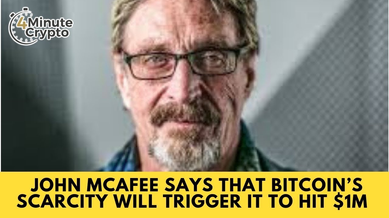 John McAfee Says Bitcoin’s Scarcity Will Trigger It to Hit $1M - YouTube