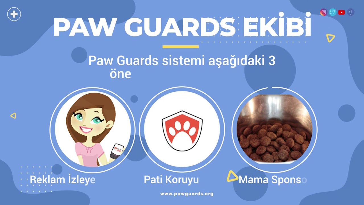 Paw Guards Nedir? Nasıl Çalışır. - YouTube