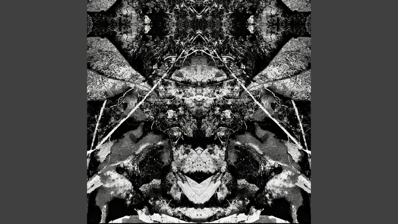 +Back 2 Black - YouTube