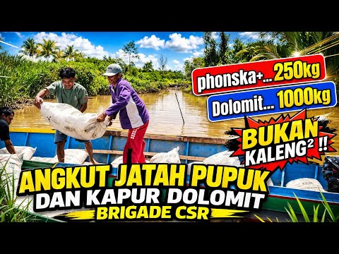 ANGKUT JATAH PUPUK, PROGRAM CETAK SAWAH RAKYAT, RATUSAN LAHAN MULAI DI BUKA ,TRANSMIGRASI KALIMANTAN
