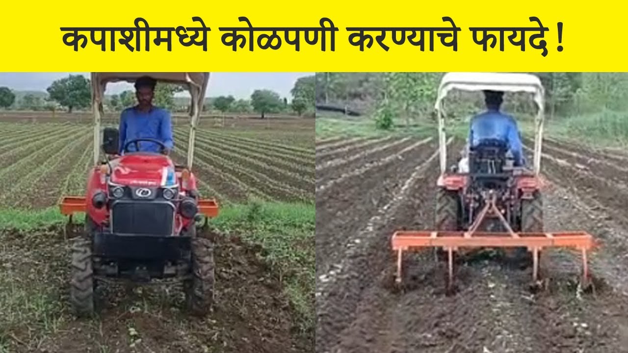 कपाशीमध्ये कोळपणी करण्याचे फायदे! | Hoeing in cotton - YouTube