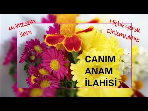 Canım Anam ilahisi  Mehmet ŞEN  Müziksiz ilahi