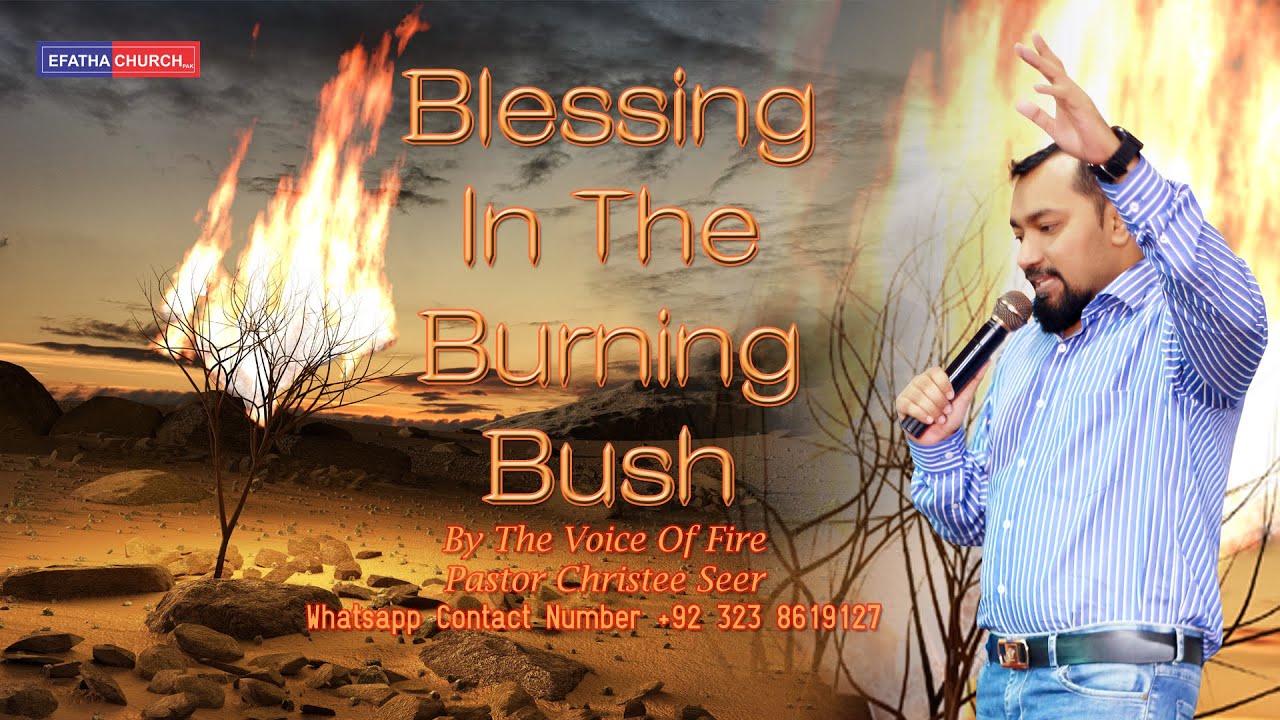 Blessing In The Burning Bush [By The Voice Of Fire Pastor Christee Seer ...
