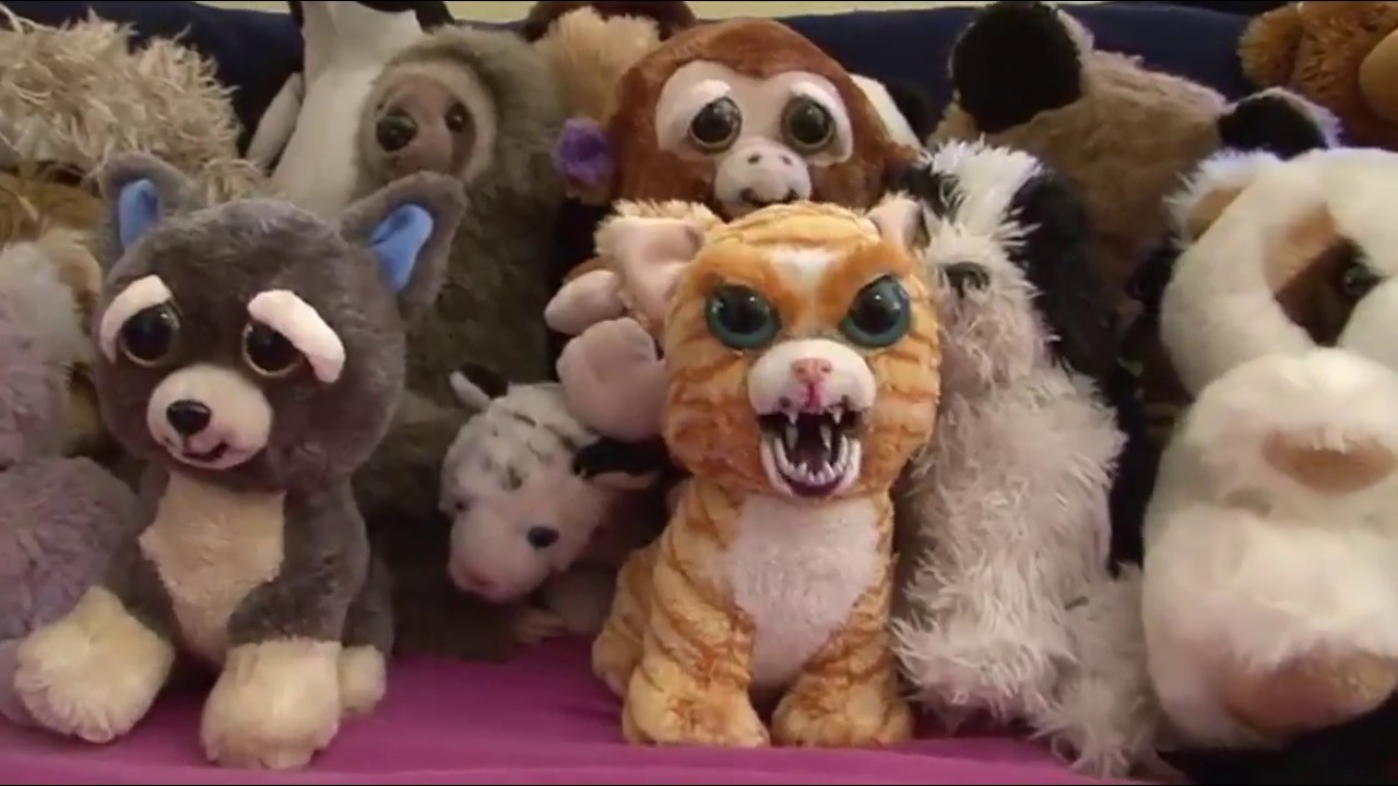 FEISTY FUNNY EXPRESSION PETS PLUSH TOY - YouTube