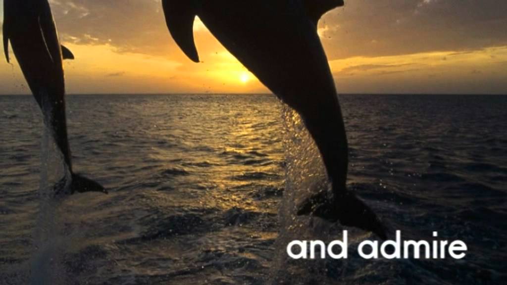 Have You Forgotten Me? - YouTube