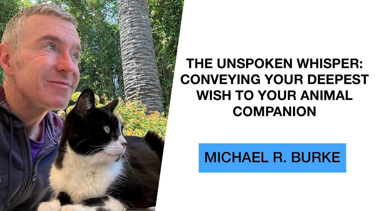 The Unspoken Whisper: Conveying Your Deepest Wish to Your Animal ...