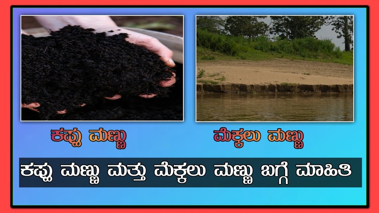 ಕಪ್ಪು ಮಣ್ಣು ಮತ್ತು ಮೆಕ್ಕಲು ಮಣ್ಣು || kappu mannu and mekkalu mannu ...