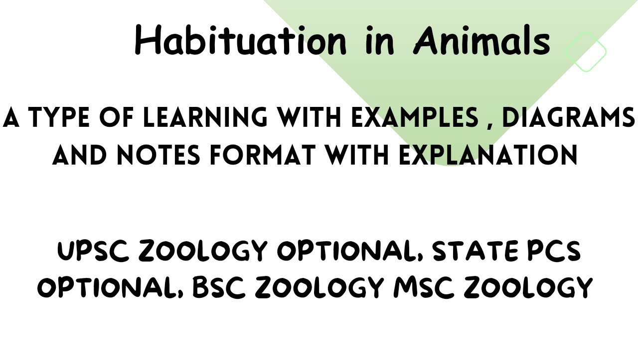 Habituation in animals - a type of learning (Ethology) - YouTube