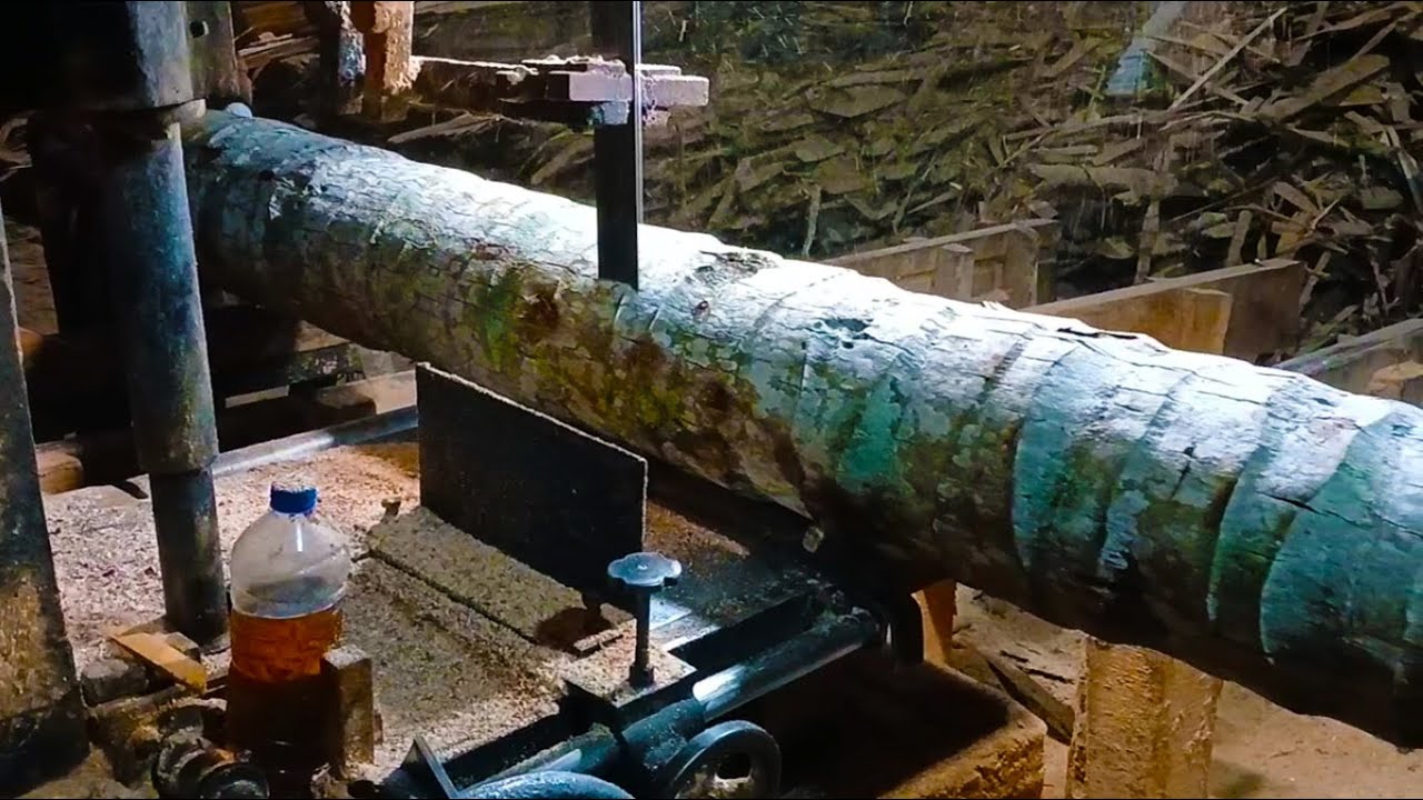 Sawmilling Logs Transforming Coconut Tree into Perfect Lumber! - YouTube