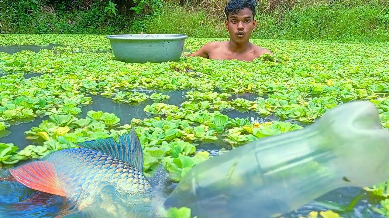 Unbelievable Ponds Fishing With Plastic Bottles || Amazing Hook Fishing ...