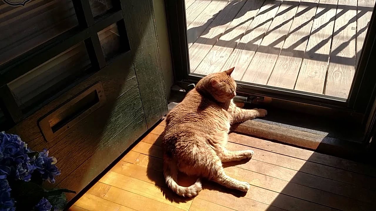 Mr. Jitters - YouTube