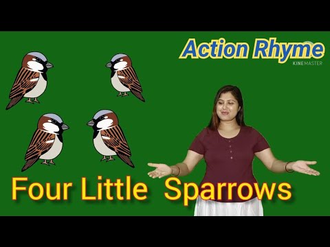 Four Little Sparrows Action Rhyme - YouTube