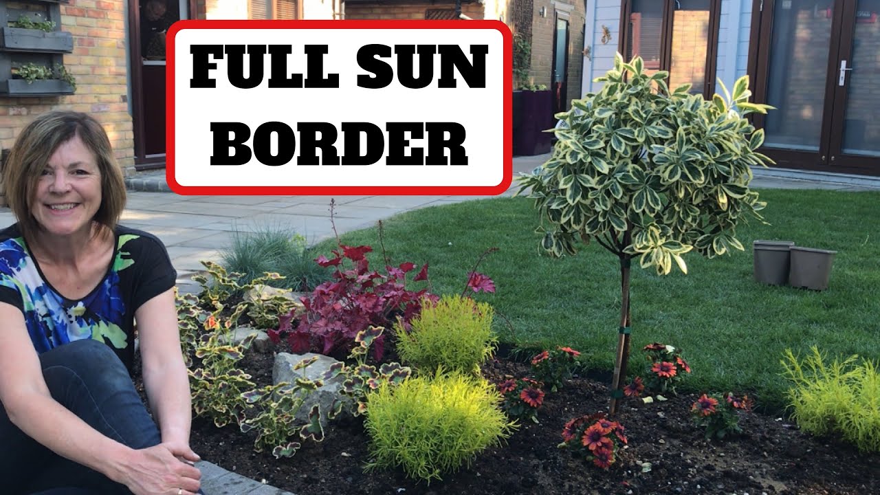 Small Border Plants Full Sun Low Maintenance Garden Border Ideas:
