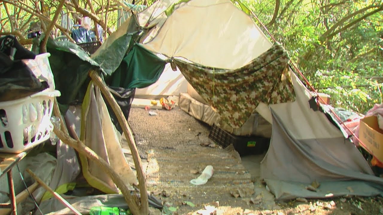 Nonprofit reaches out to help homeless displaced from Hamilton camp ...