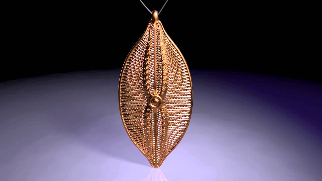 3D printed Navicula bullata diatom pendant ~ 46mm - YouTube