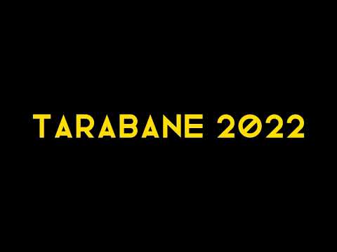 KUCHEK 2022 Tarabană show