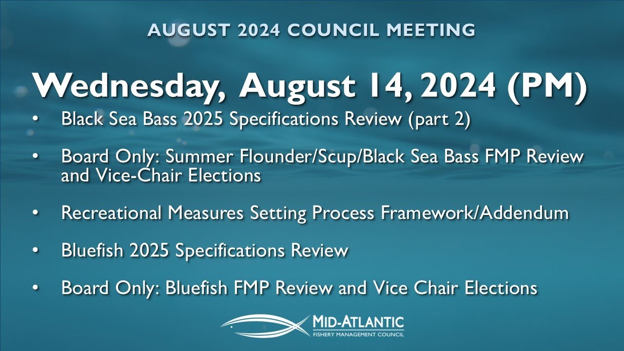 MAFMC Meeting: August 14, 2024 (PM) - YouTube