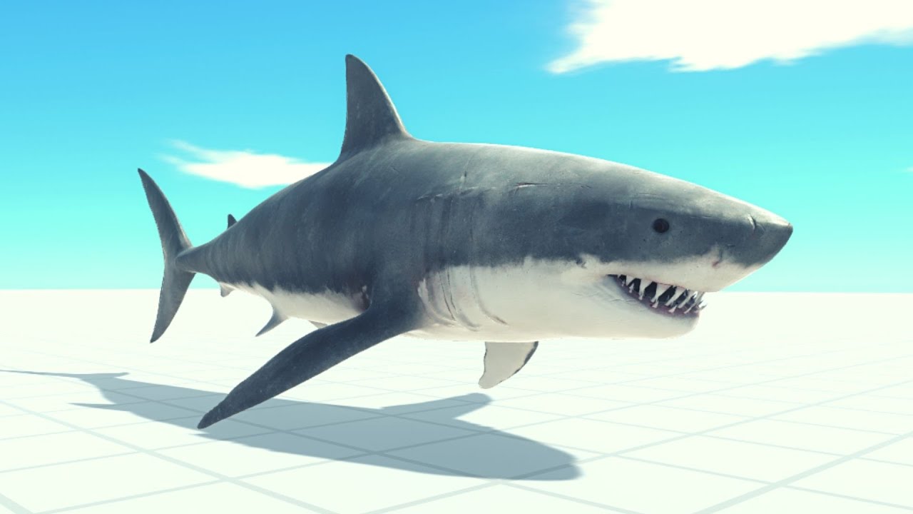 New Unit! Great White Shark Vs Every Unit ARBS | Animal Revolt Battle ...