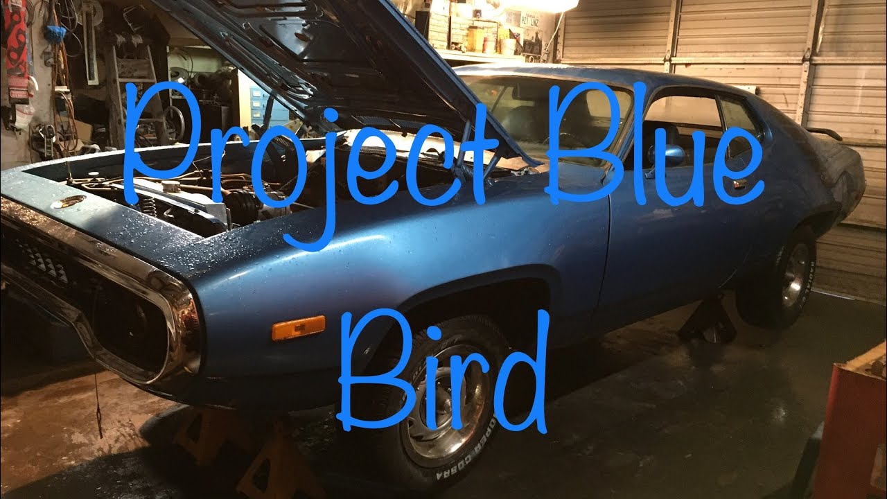 Road Runner Part 1 Project Blue Bird! - YouTube