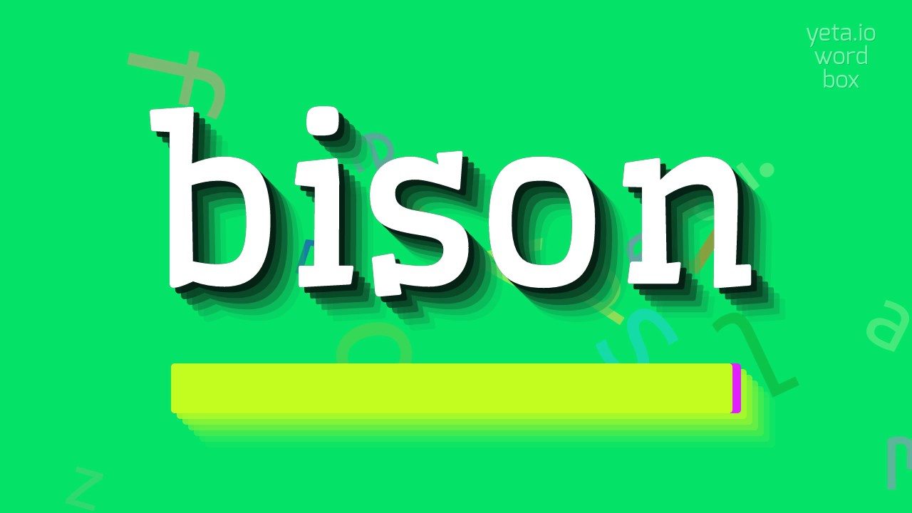 How to say "bison"! (High Quality Voices) - YouTube