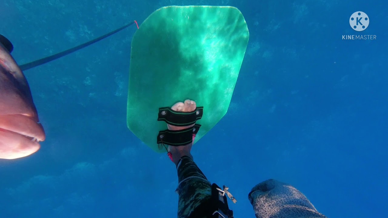 Buffalo Emperor @SECO Island || Gabby Ramal - YouTube