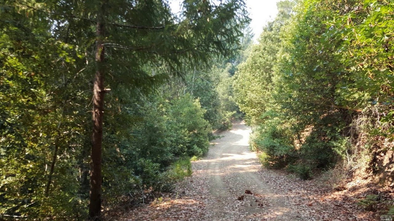 0 Branscomb Road Branscomb, CA 95417 - Land - Real Estate - For Sale ...