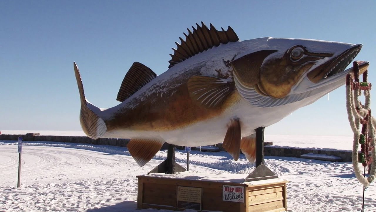 Fishing guide Tony Roach's overview of Mille Lacs issues - YouTube