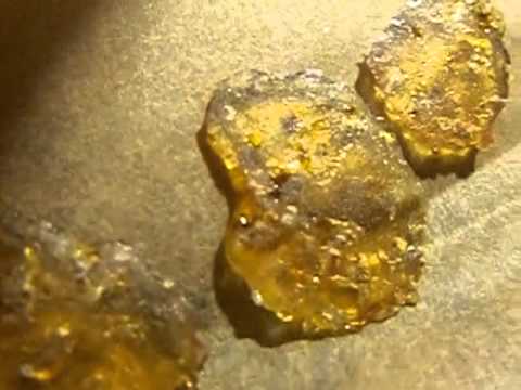 Hawaiian Blue Cheese Shatter Closeups & Globs