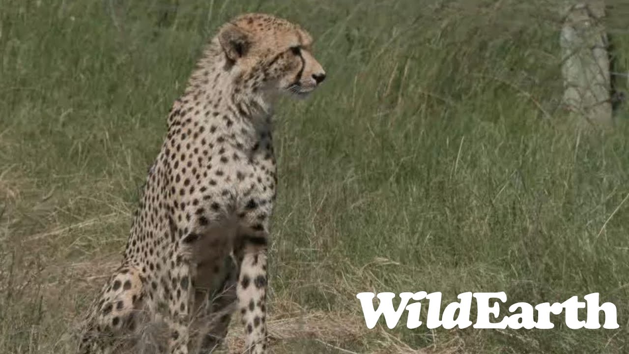 What a way to escape into nature! - YouTube