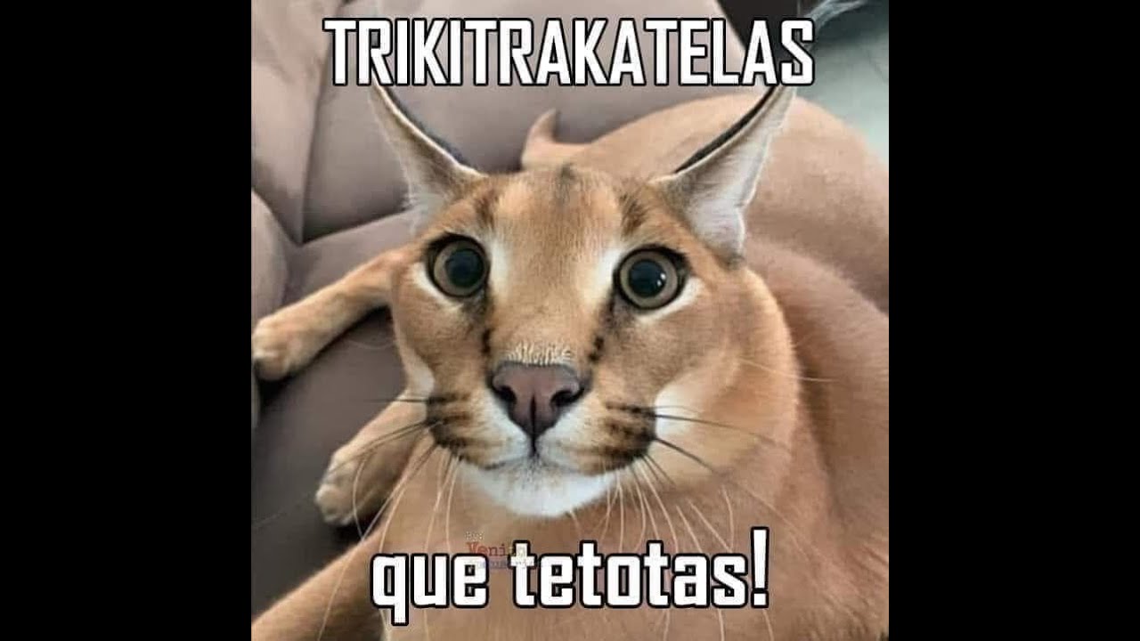 trikitrakatelas - YouTube