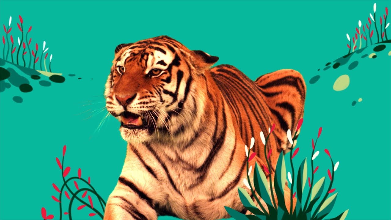 StoryBots | Wild Animal Songs | Leaning Songs For Kids | Netflix Jr ...